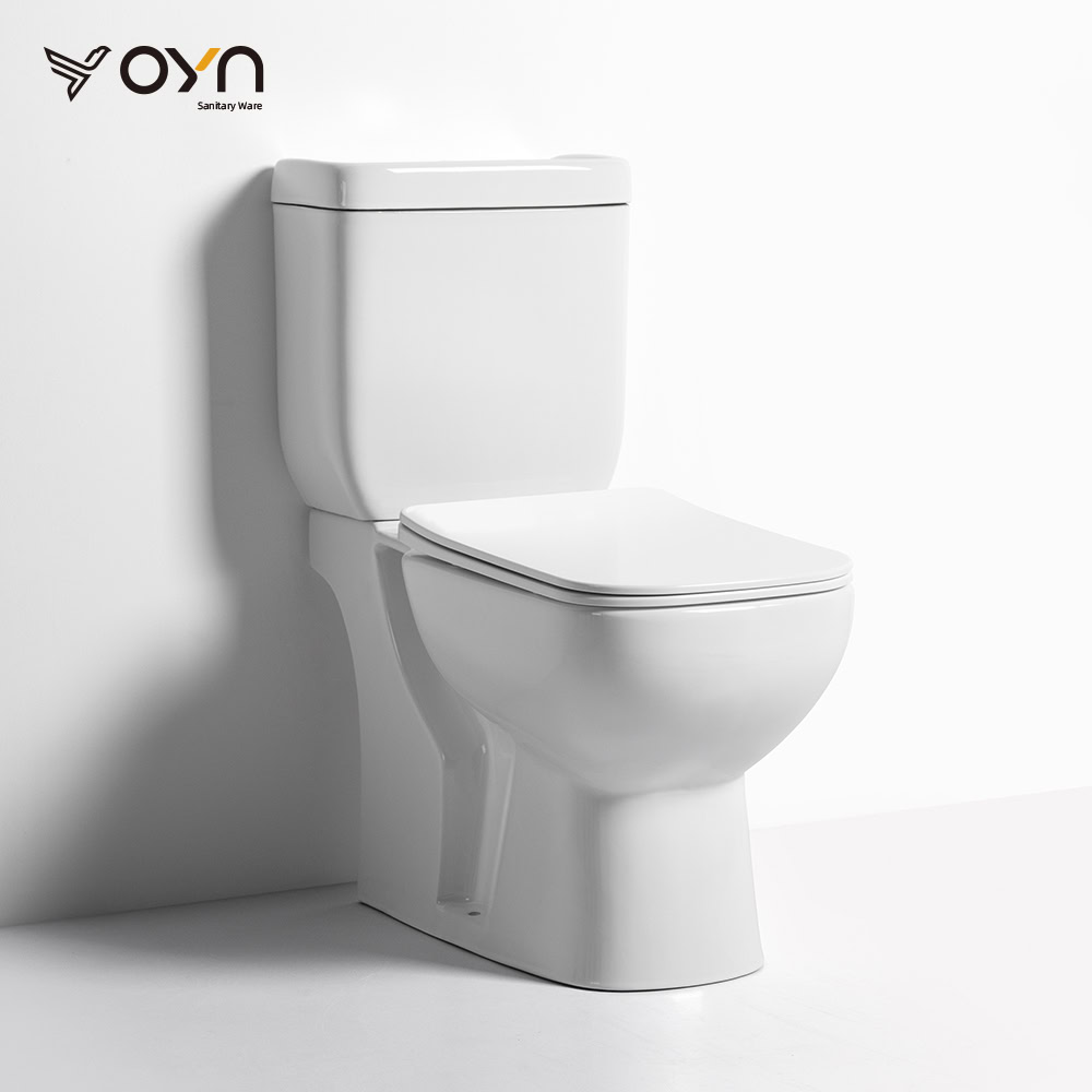 FT3 Two-piece Toilet | Washdown | S-trap 250mm | P-trap 180mm
